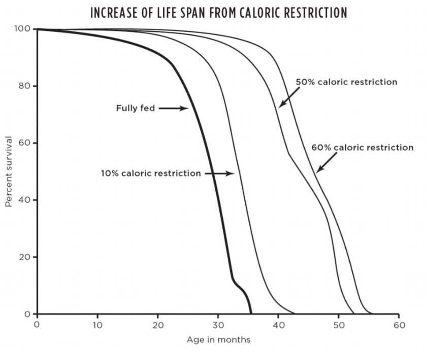 Scale by Geoffrey West | thinkthinkthink #13