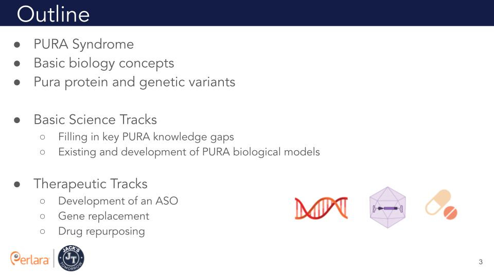 PURA Syndrome Cure Roadmap - by Ethan O. Perlstein, Ph.D.