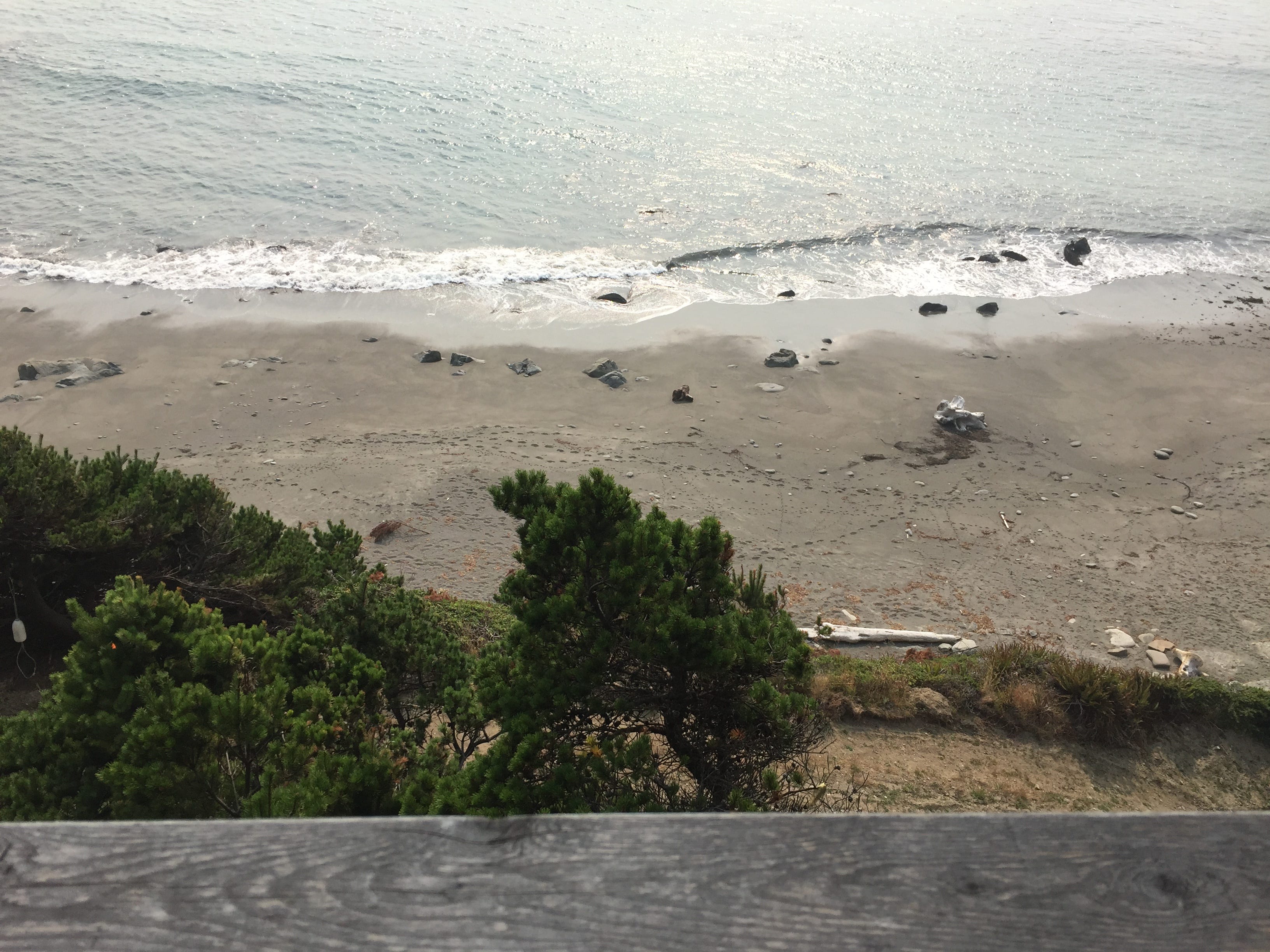 Southern Oregon Coast: The Cabin - by Anne Sturdivant