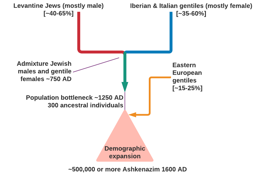 Ashkenazi Jewish genetics: a match made in the Mediterranean