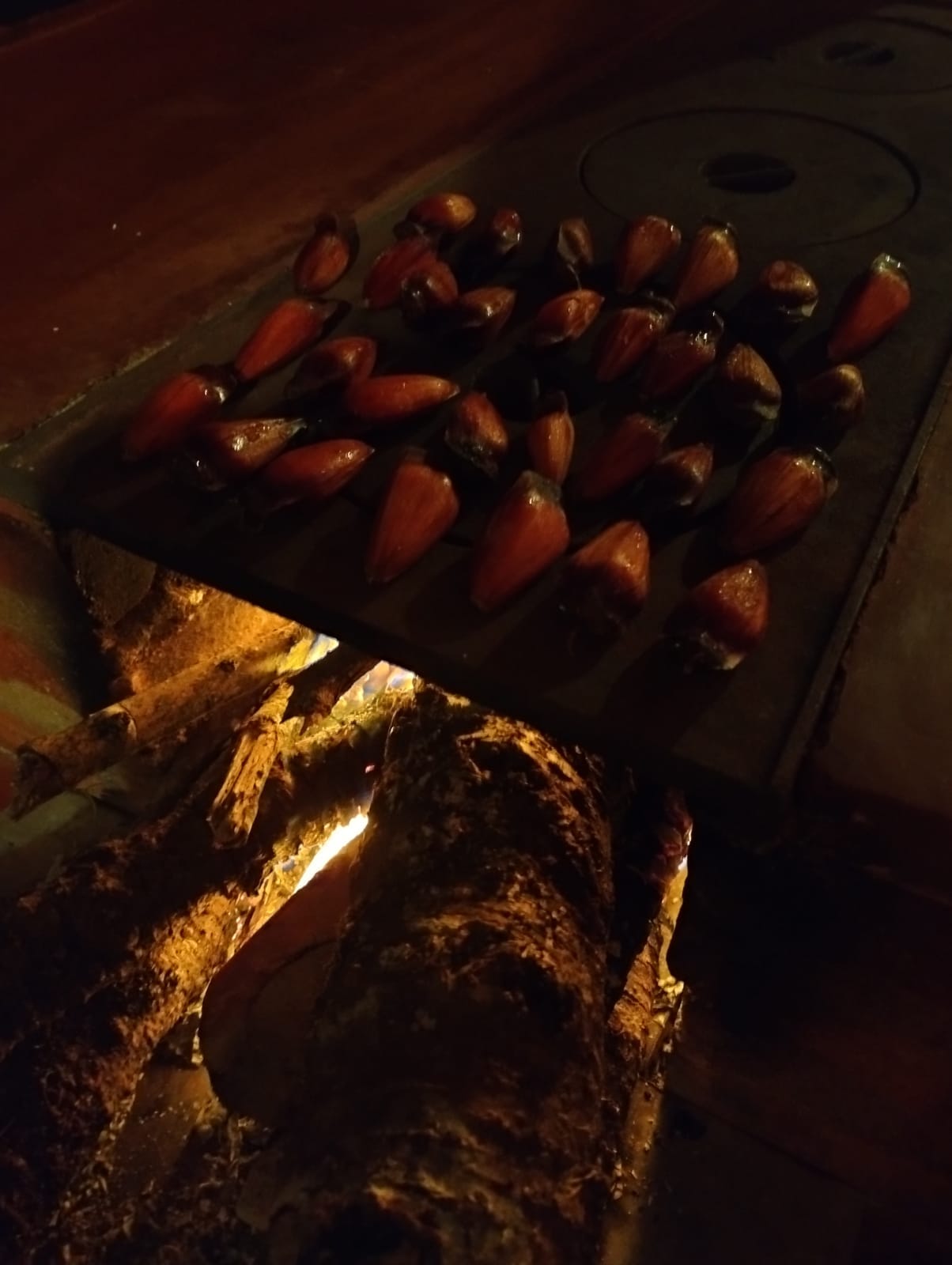 Ninguém escapa de si mesmo - by Fernanda Misumi