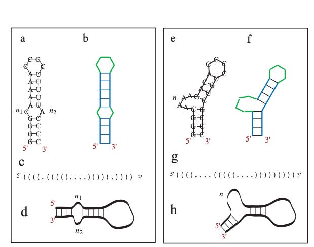 mRNA Folding Mechanisms and Approaches at the Secondary Structure Level