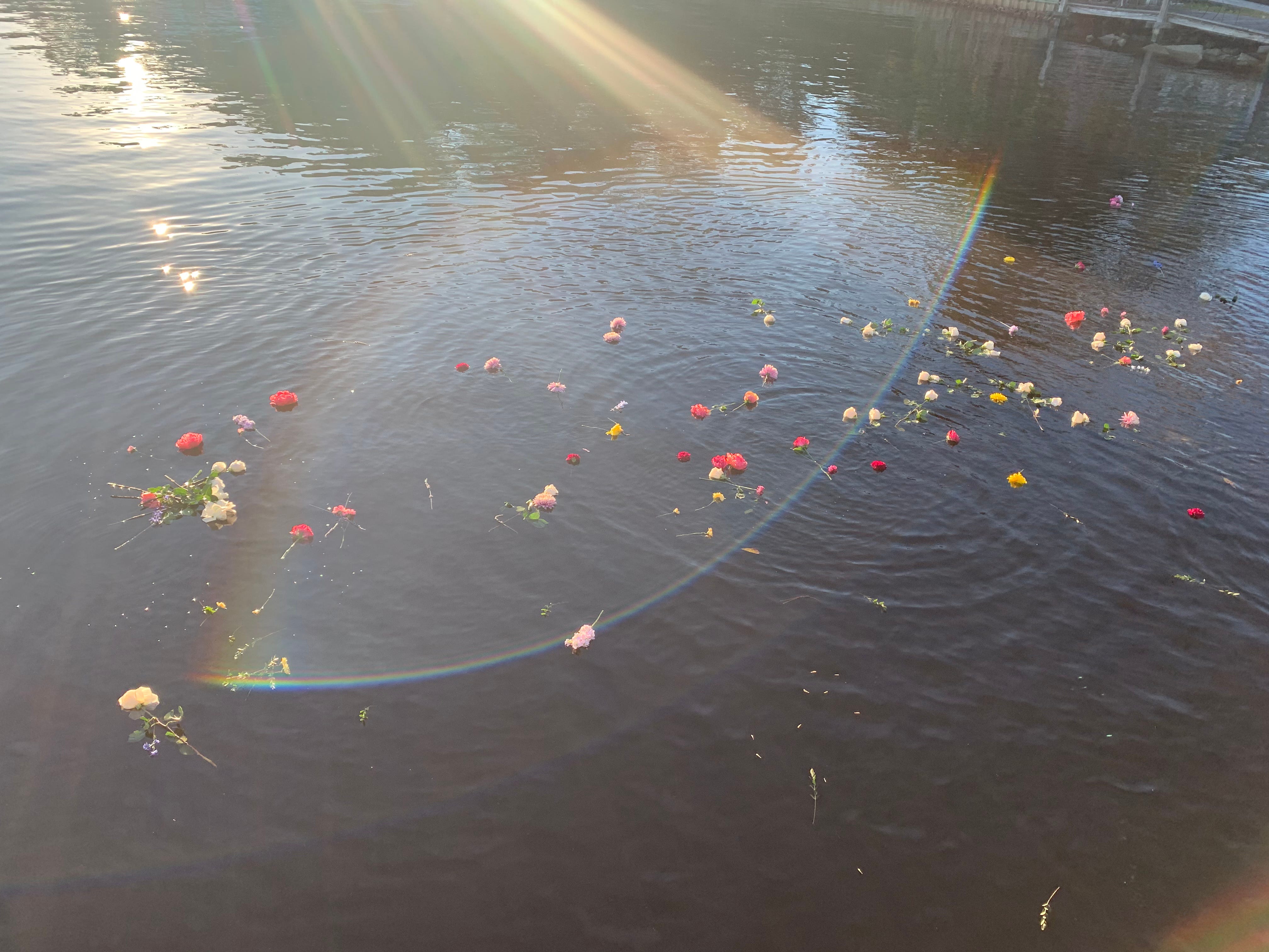 Meg - by Matthew K - Practical Tarot