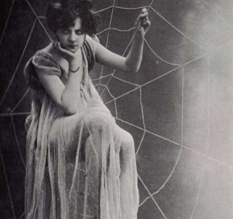 A Defense of the Common House Spider - by Meg Conley