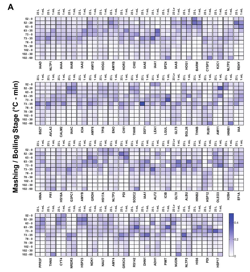 Micro-Mashing: A New Technology that Will Accelerate Beer Recipe Design