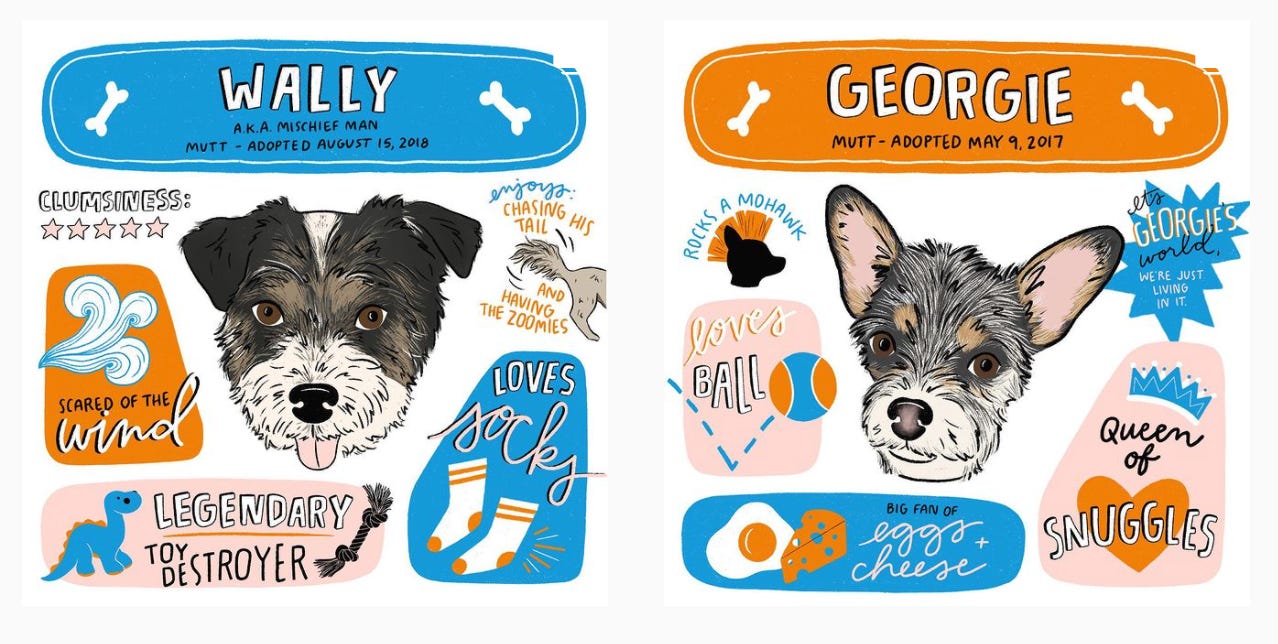 Holiday Gift Guide - by Rachel Zarrow