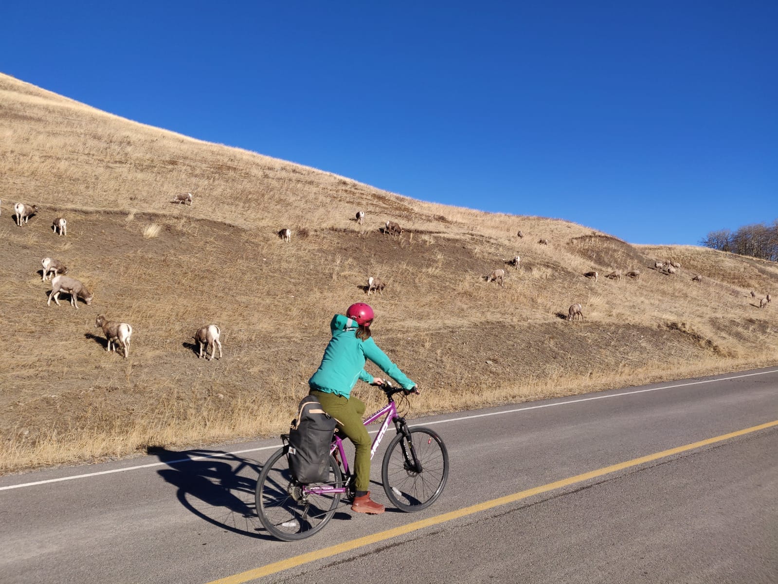 Go Outside: The Yikes Bikes edition!
