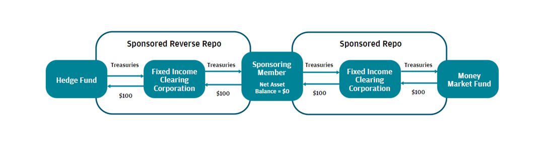 Issue #39: Repo Review: Sponsored Repo - by Maroon Macro