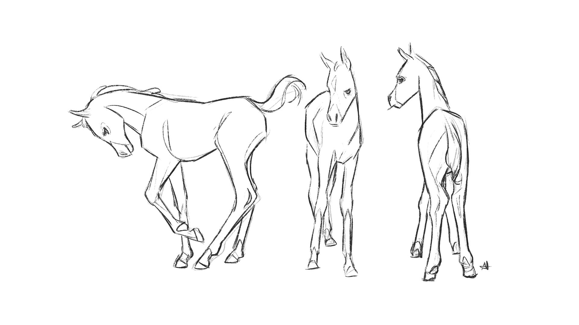 Outline Drawing Of Stallion