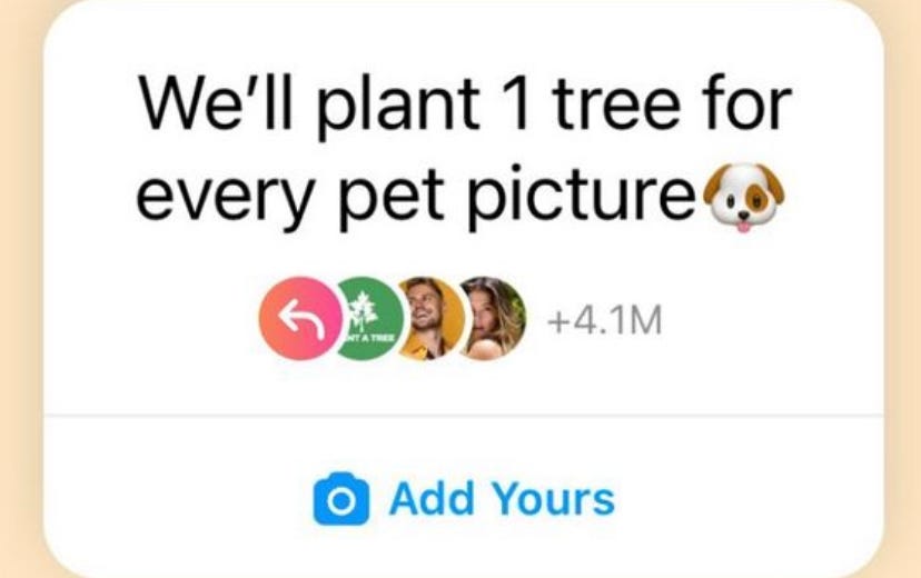 Viral trees, never planted? - by kate lindsay - Embedded