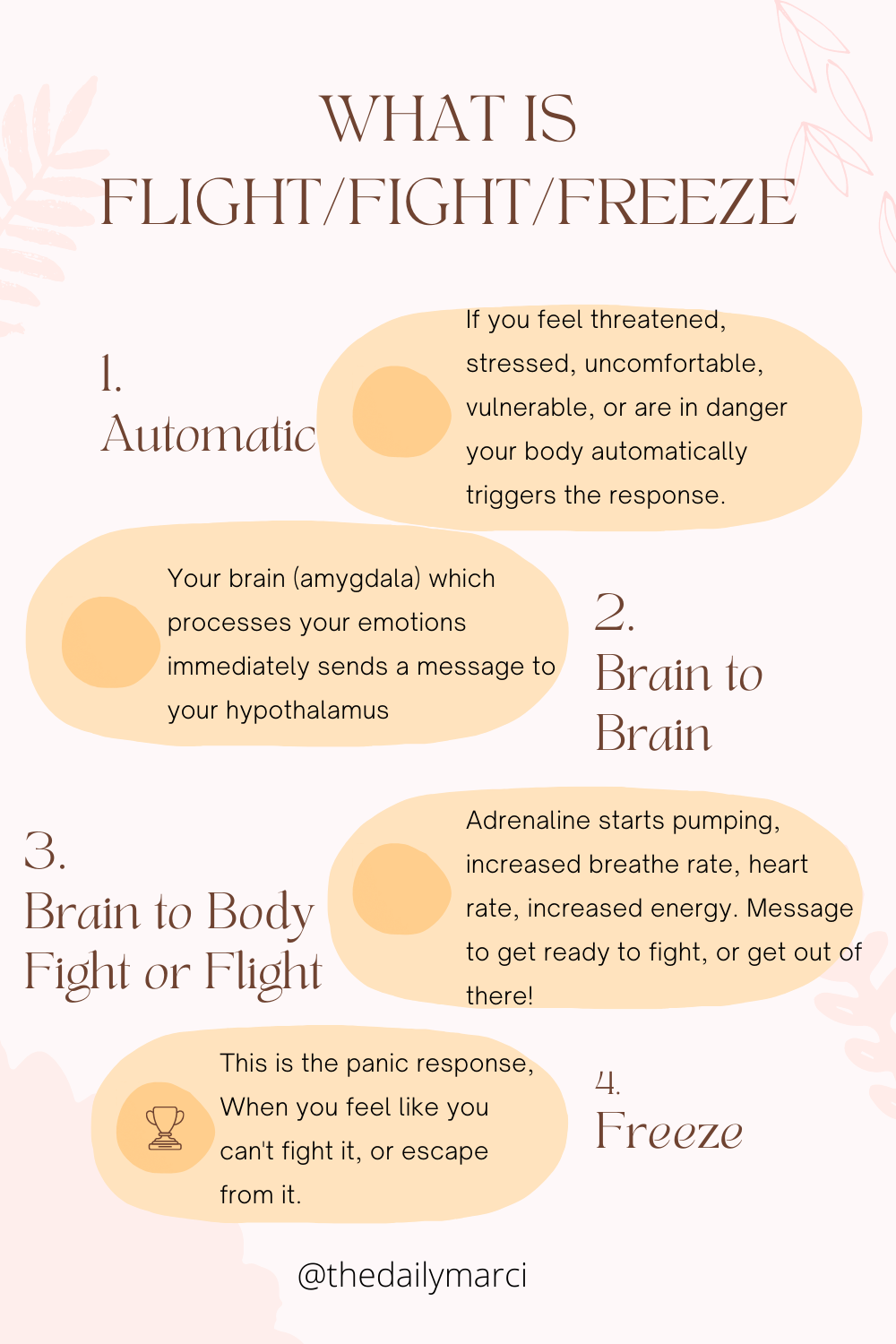 Fight Or Flight Response Brain