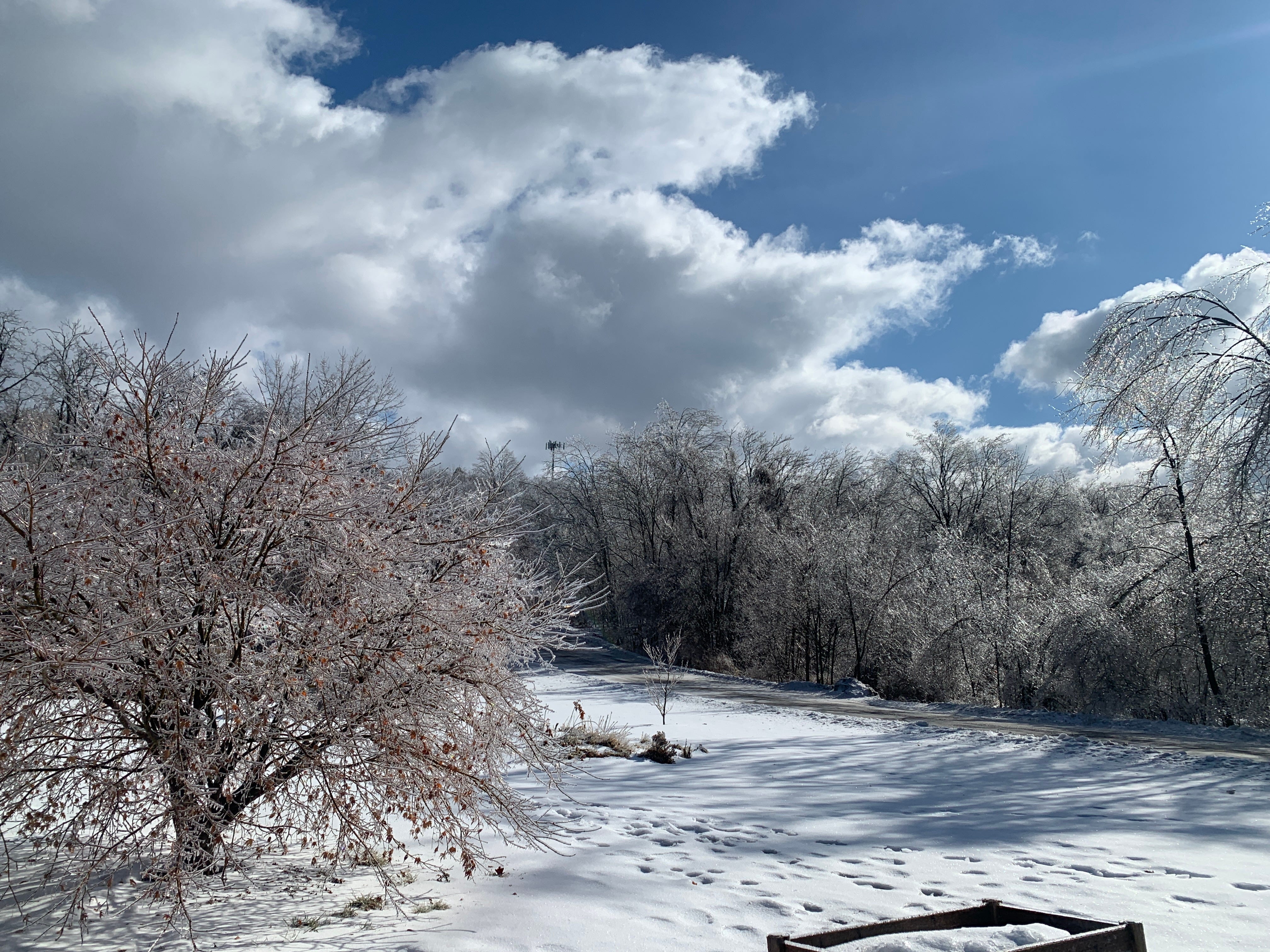 Regrets, I have a few... - by Stacy Morrison