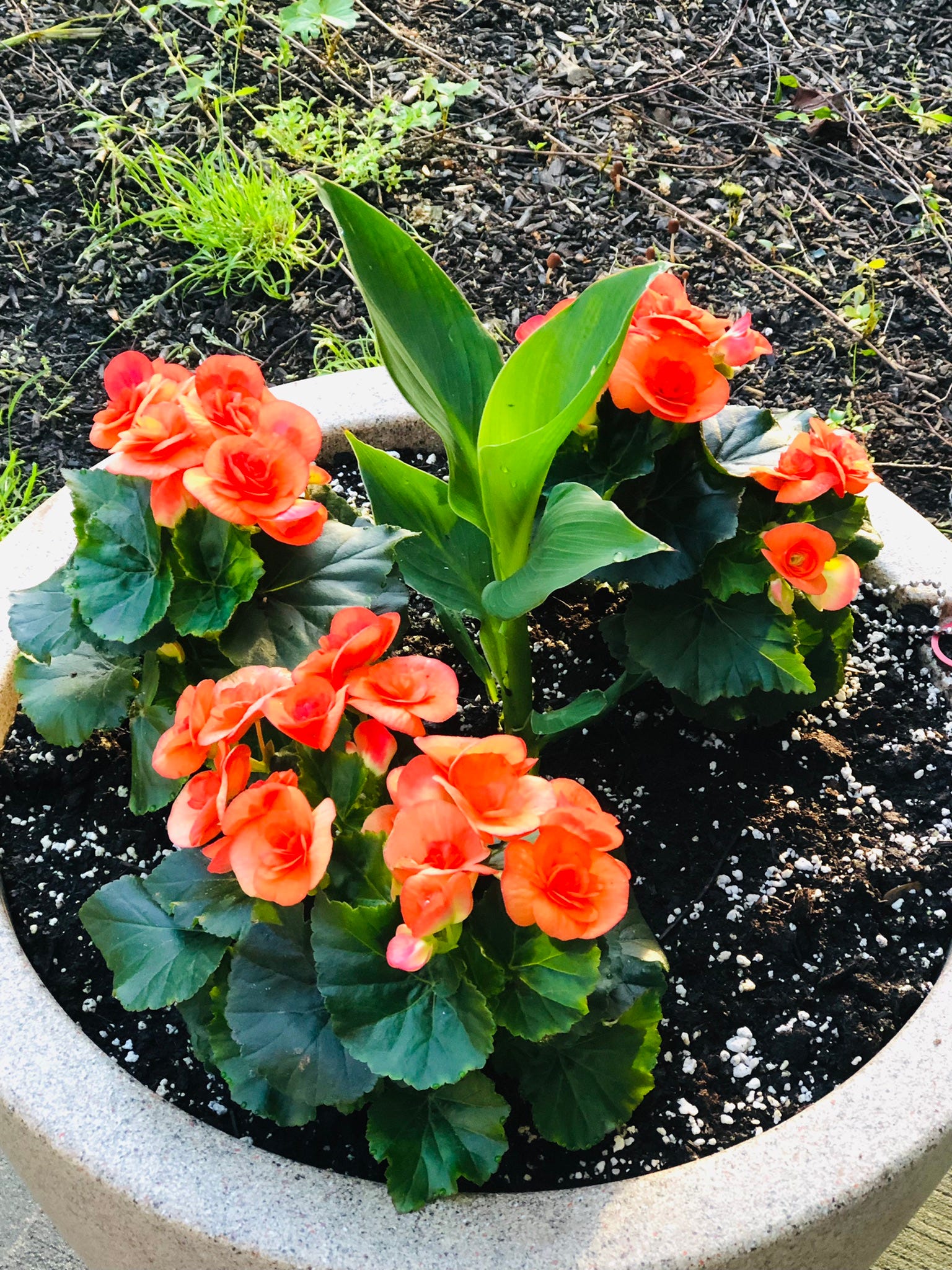 Hope & Inspiration - by Bassey BY - Help Yourself Grow