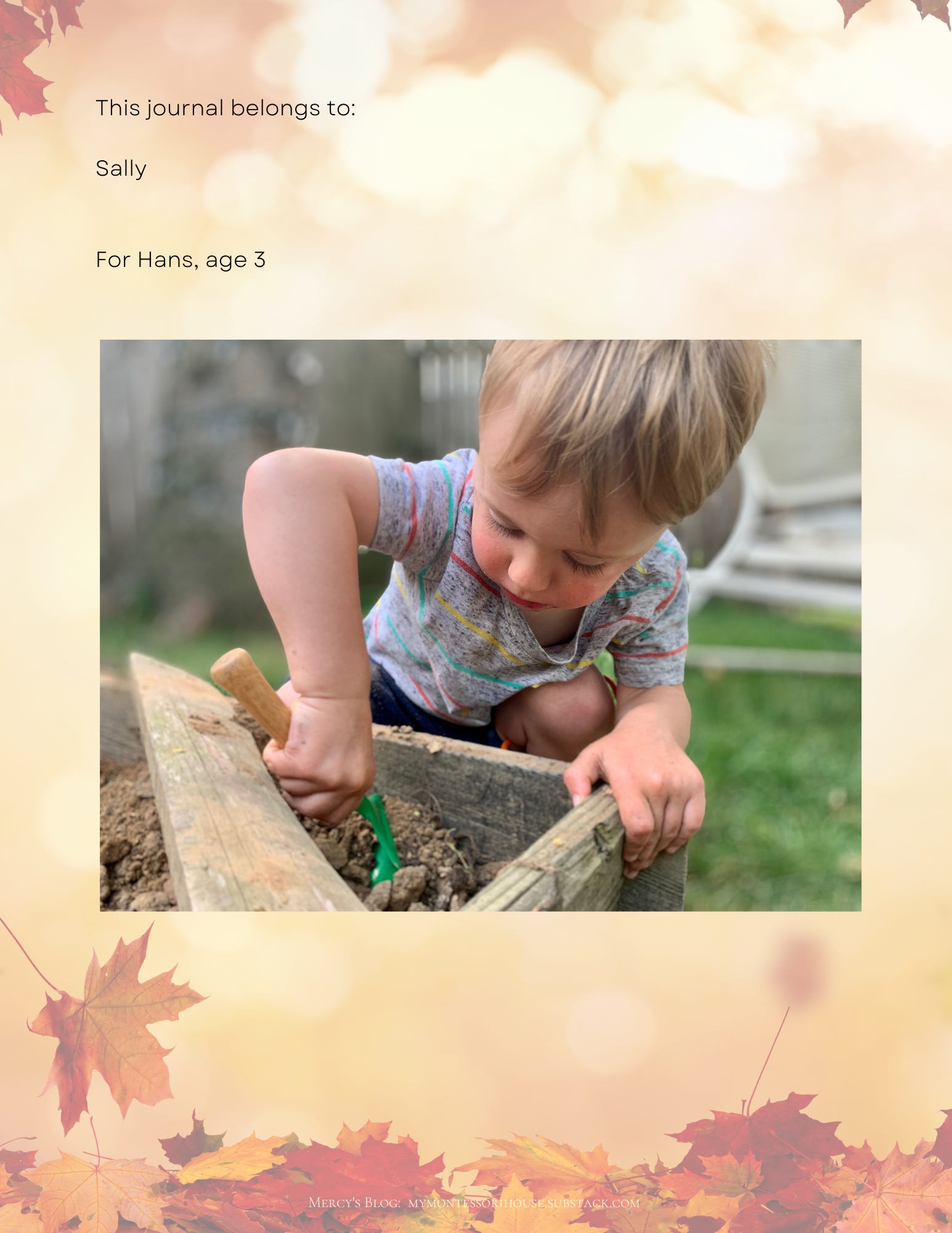 Teaching Journals - by Mercy - My Montessori House