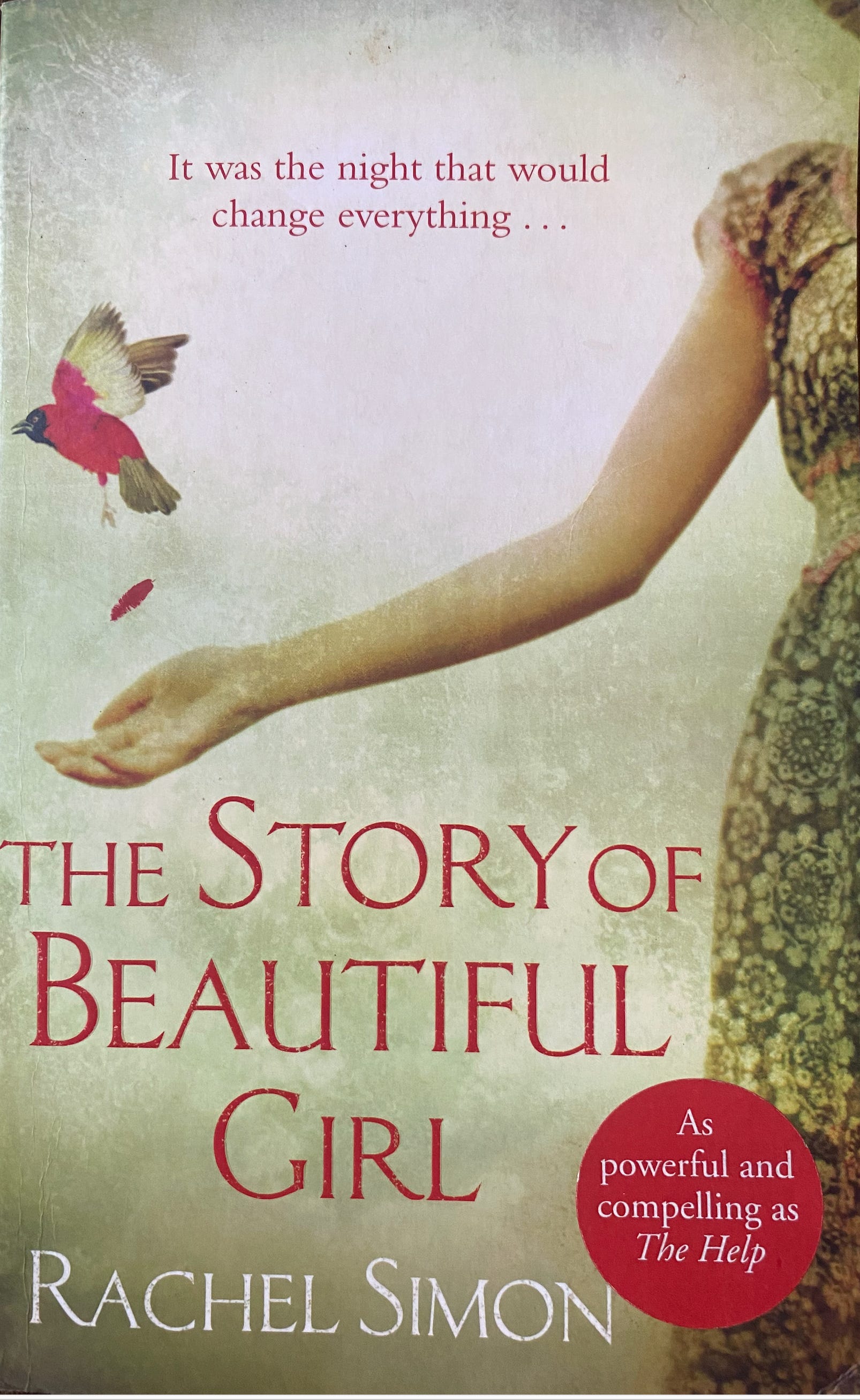“The Story of Beautiful Girl” - Evelyn’s Newsletter