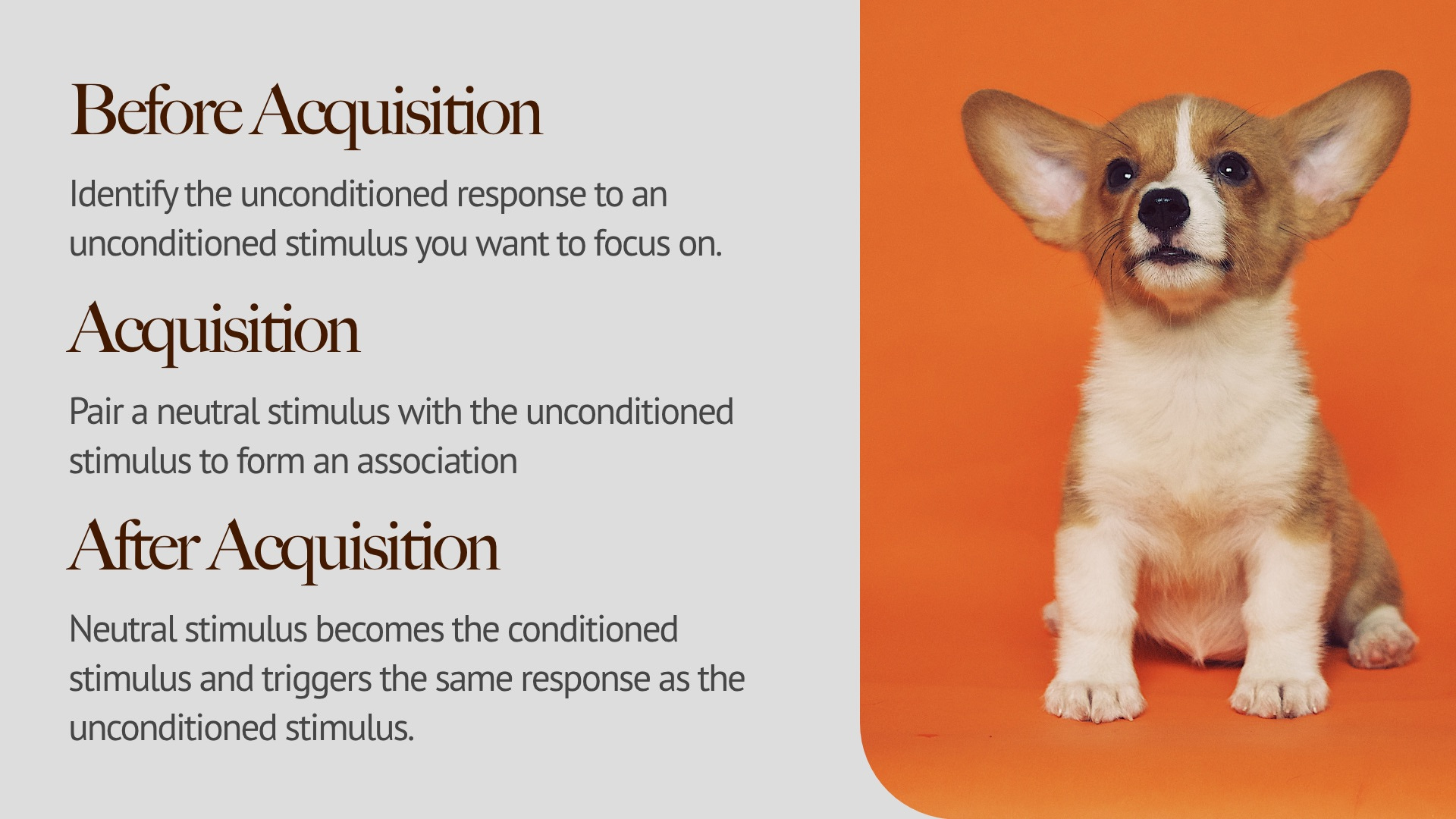 Pavlovian Response (Classical Conditioning)