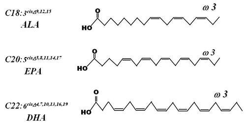 El Factor Omega 3 | Dr. Oriol Roda - by Oriol Roda