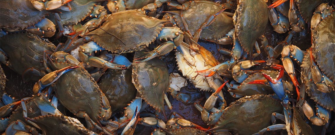 The Grievance Hierarchy - by Peter Venetoklis