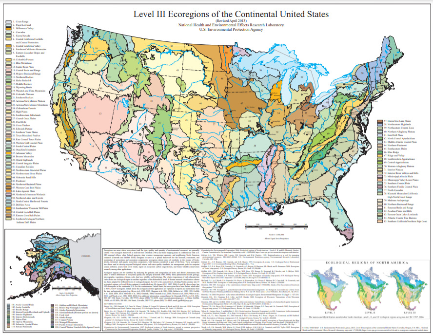What Counts as Native? - by Lolly Jewett - The Bees' Knees