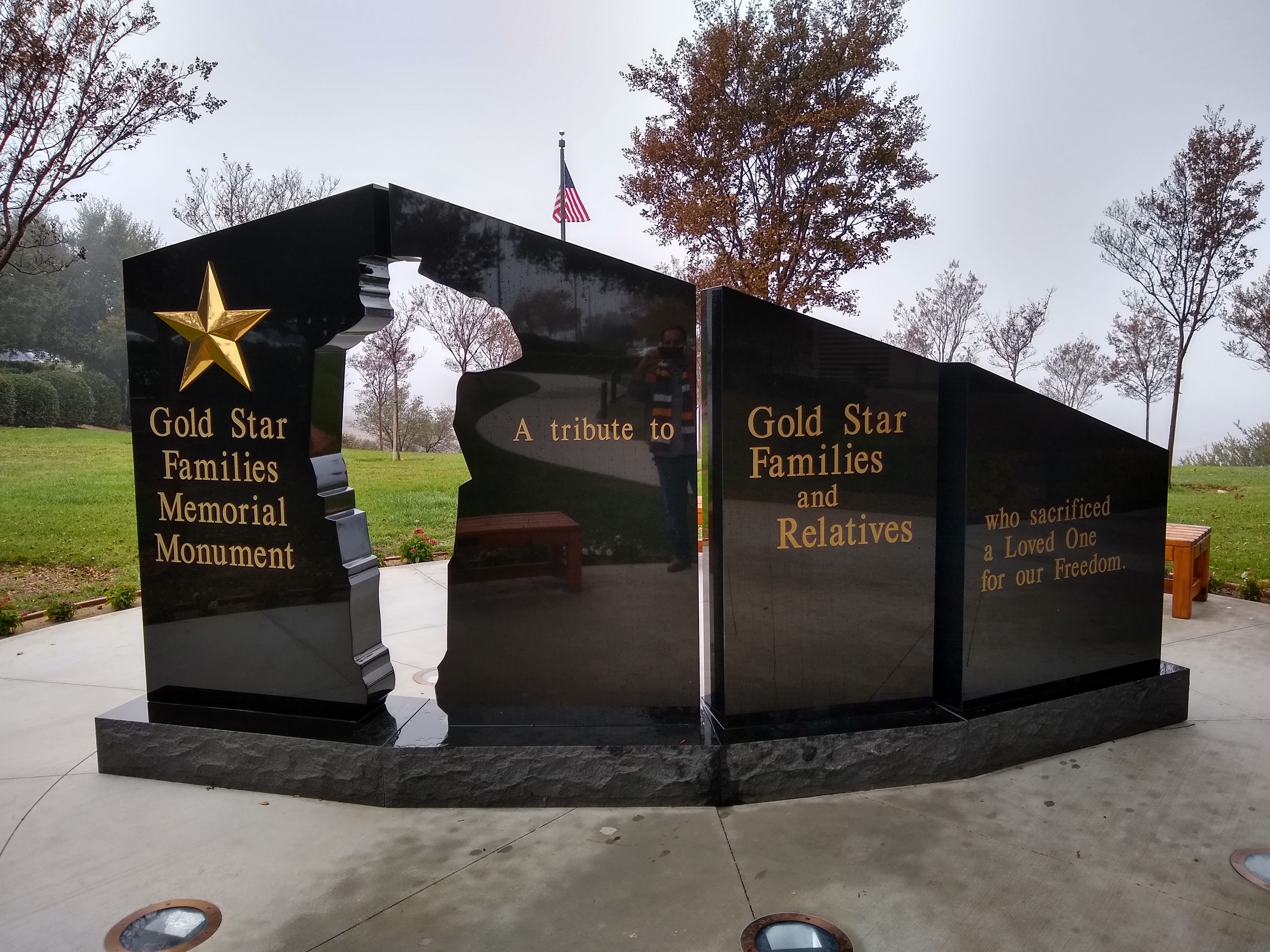 Veterans Day Salute - by David Galinsky - Freedom First