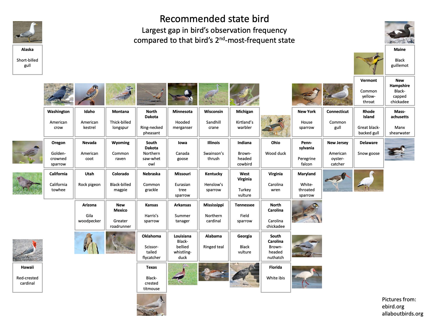 What should your state's bird be? - by Sam Allon