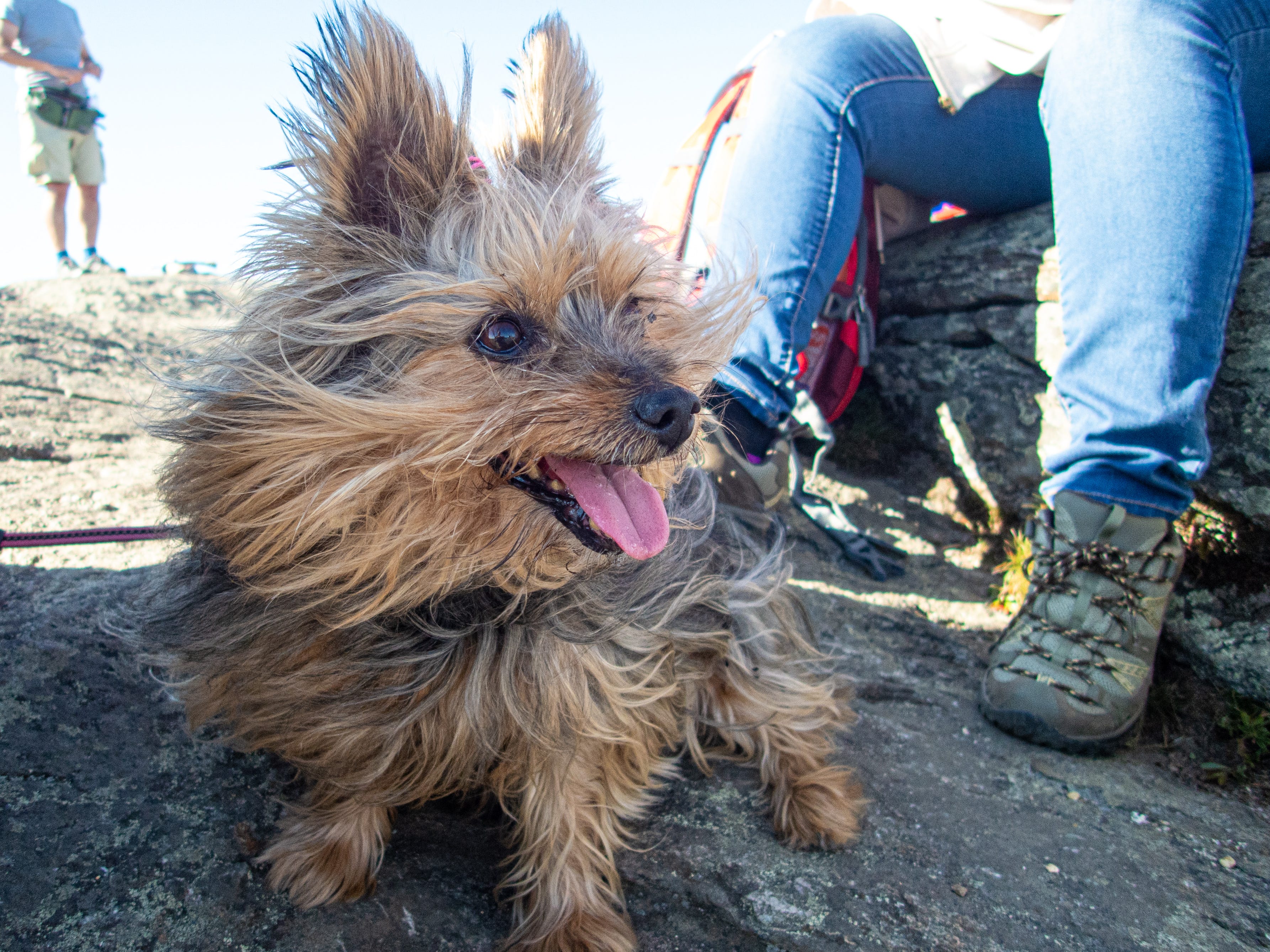 Mount Watatic - by John M Poltrack - Improves with Age