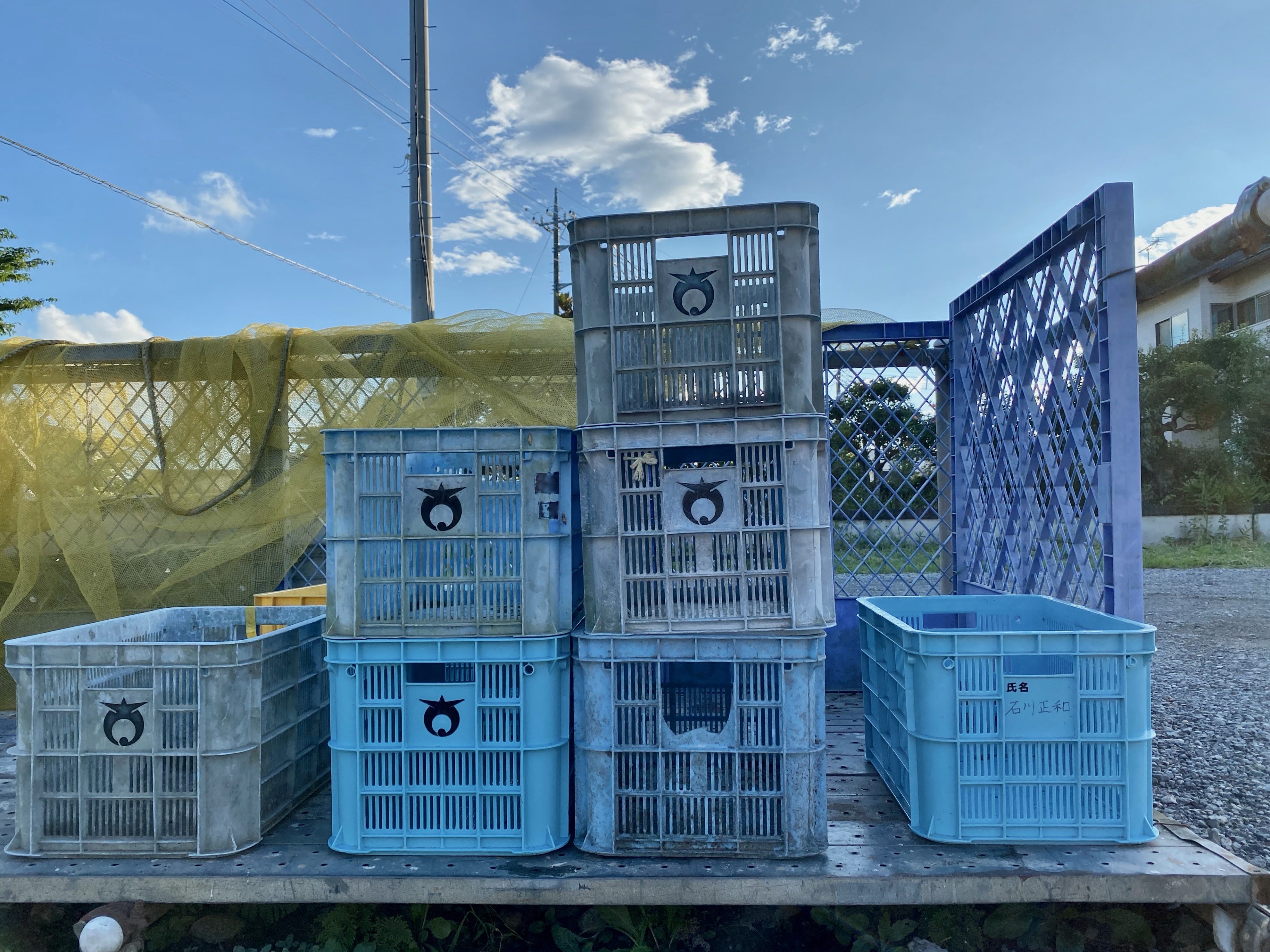 Light Touch - by Joel Neff - 91 Days