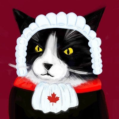 The Court cat | Substack