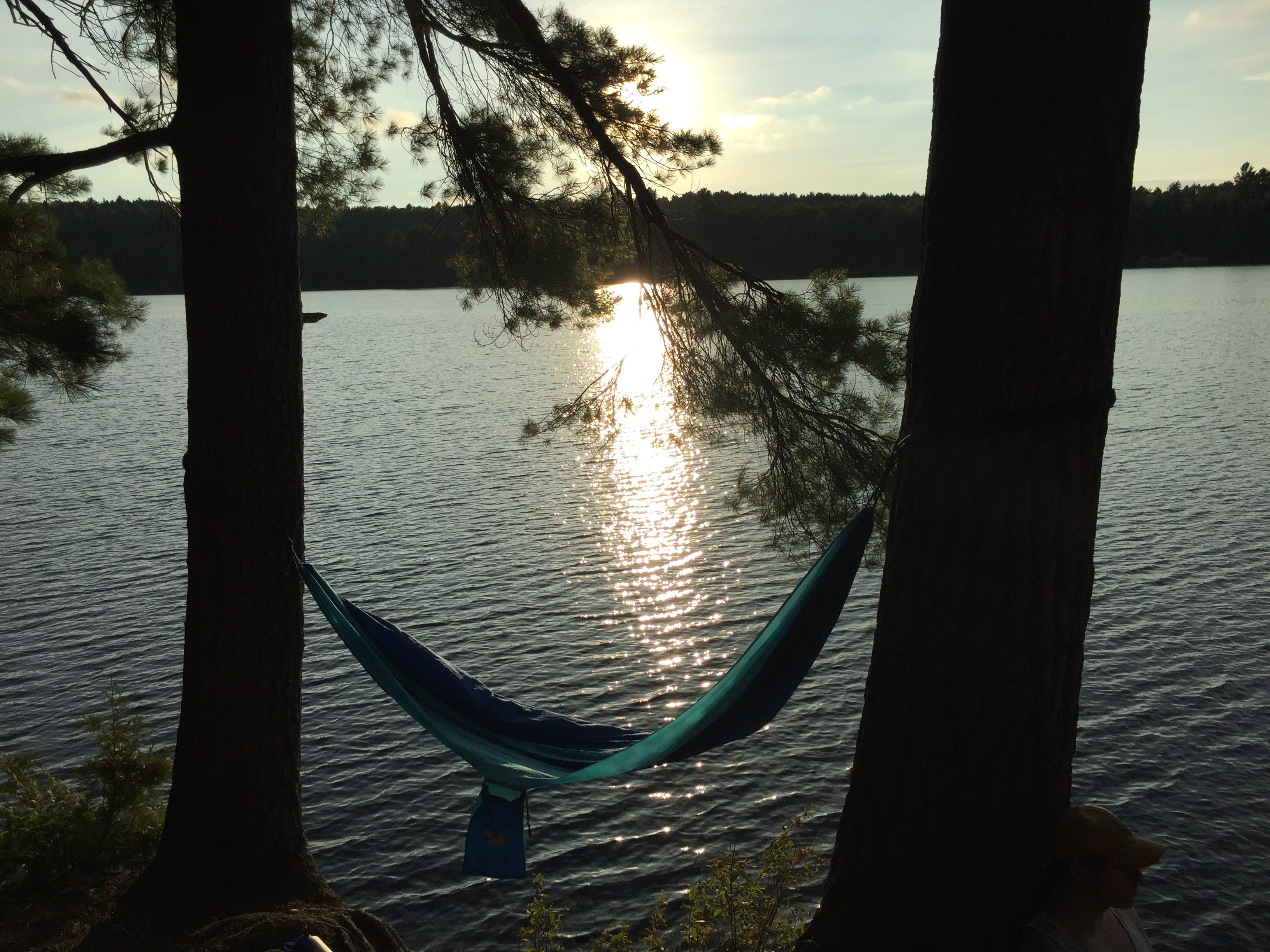 The Timeless Realm. - by Sasha Manu - Apsis