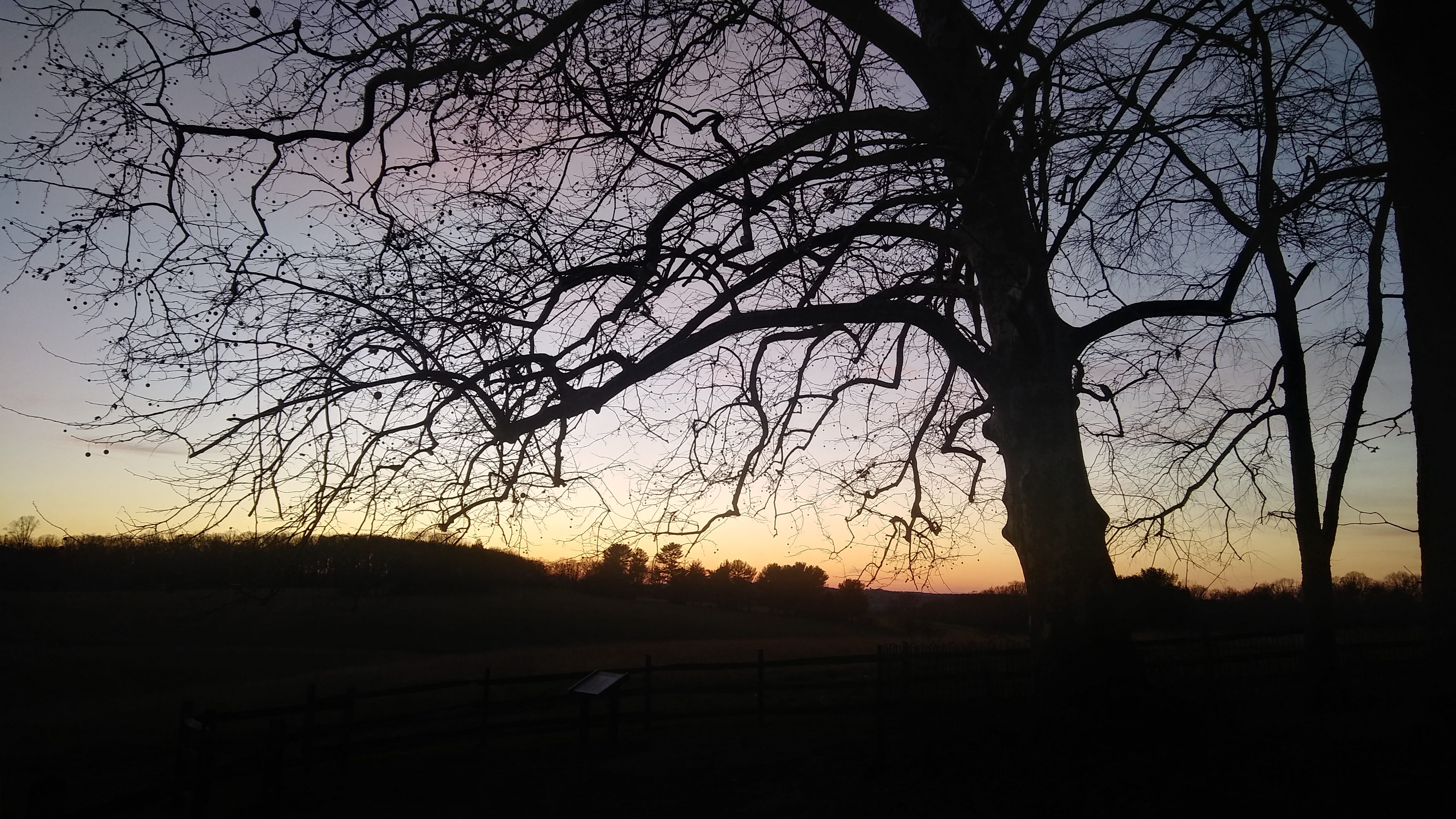 Issue 32. Yearly recap 2021 - by Jim Esch - ESCHORAMA