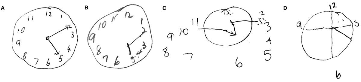 Why is it so hard to draw a bike from memory?