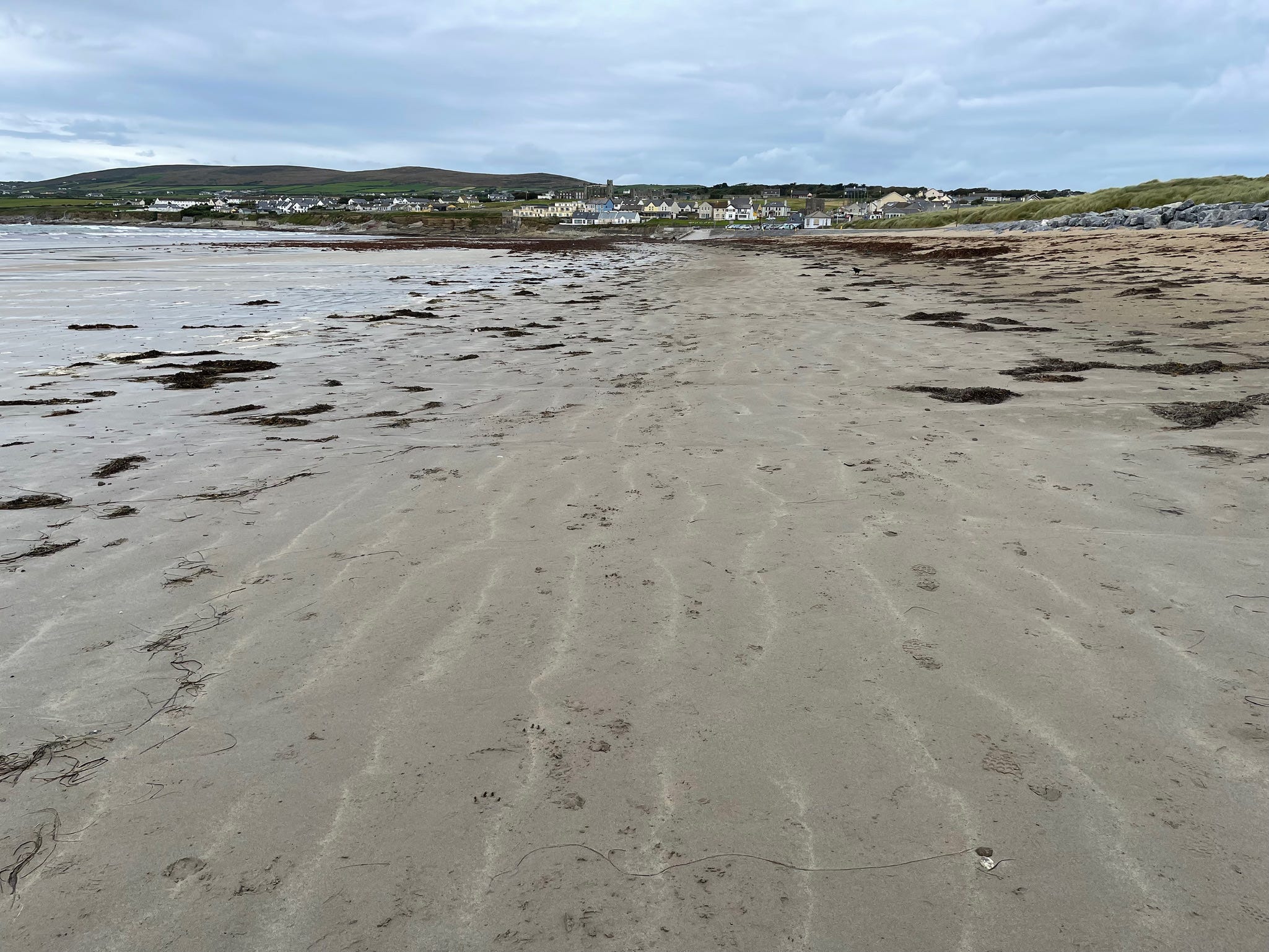 Where we go to Ballyheigue - by Shaindell Goldhaber
