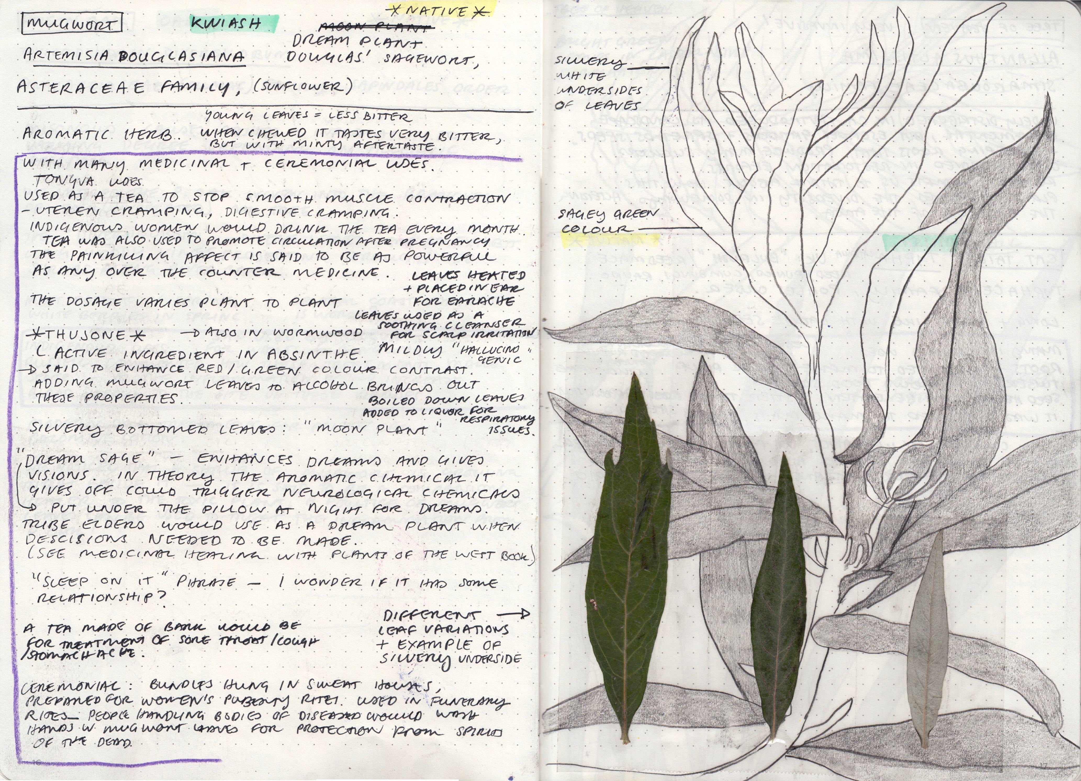 spider hands | Rosie Brand | Substack