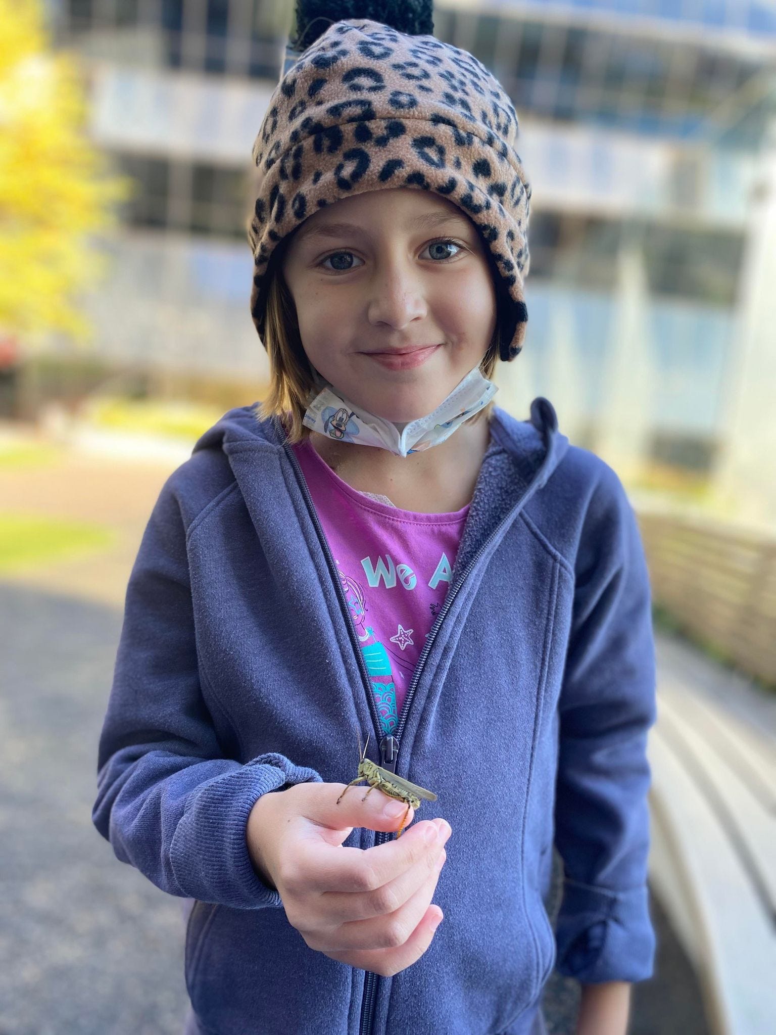 Signs - by Alison Sayers - Alison’s Newsletter