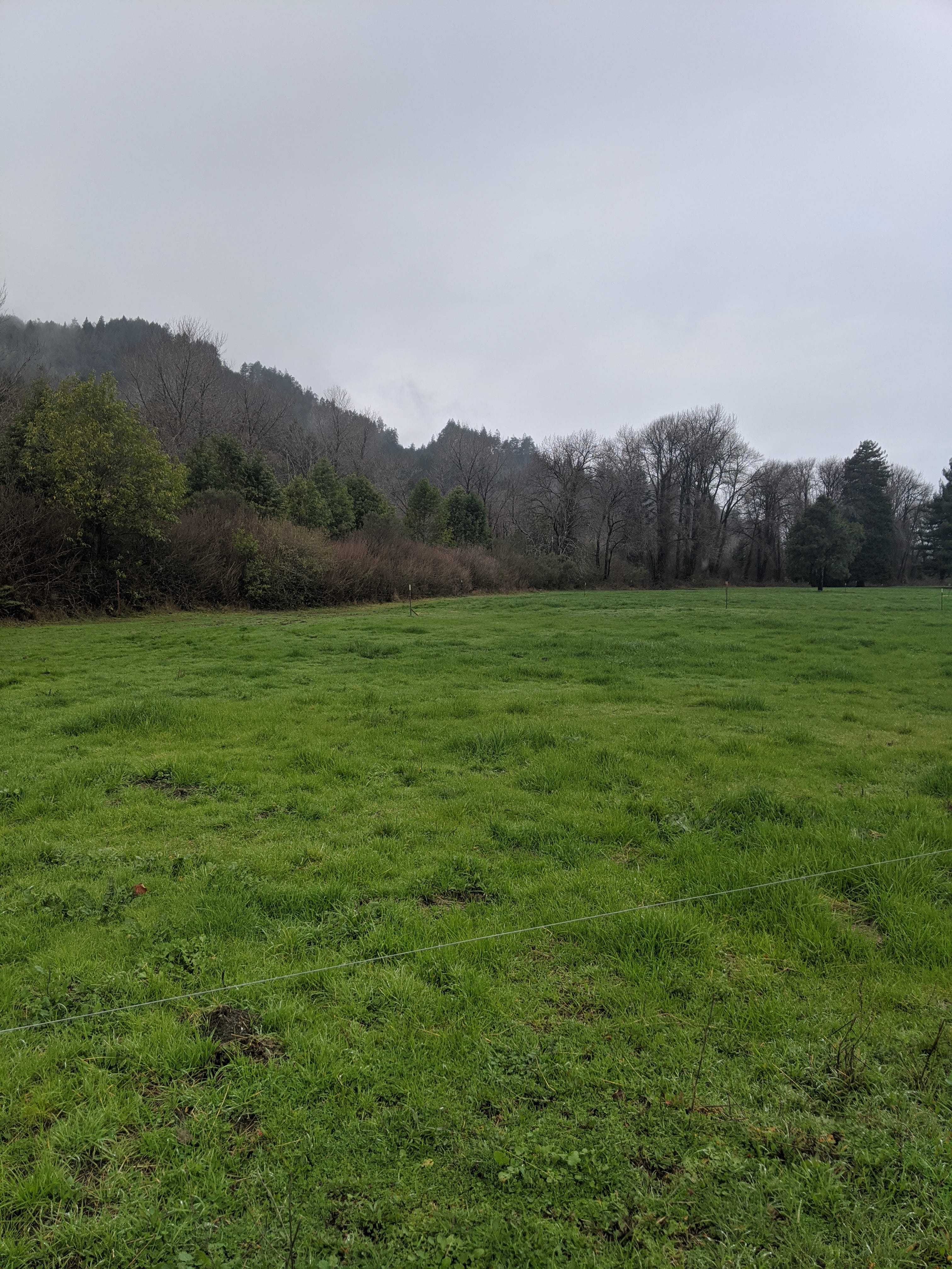 Bean Dancing & Soil Stuff - by Heather Olson