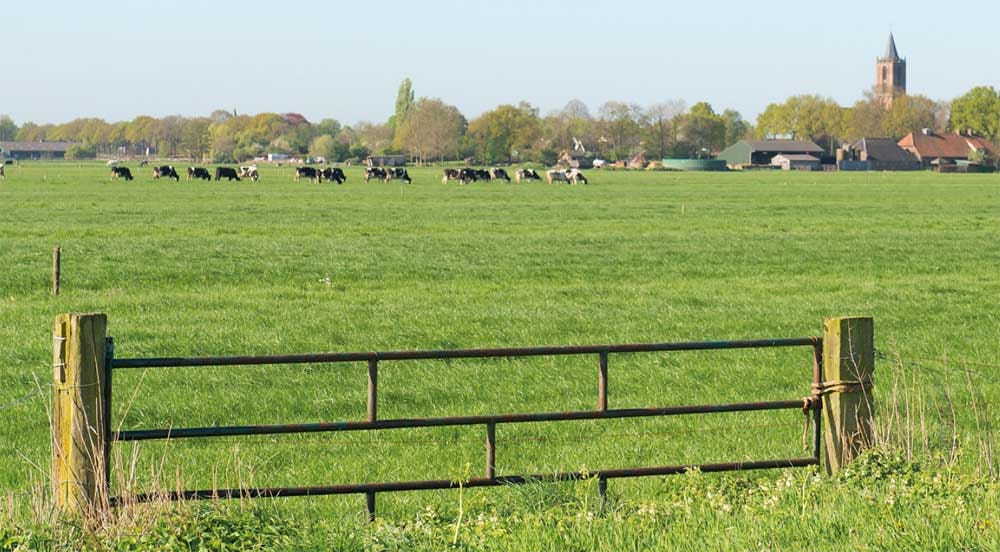 Transitie landbouw extreem complexe opgave