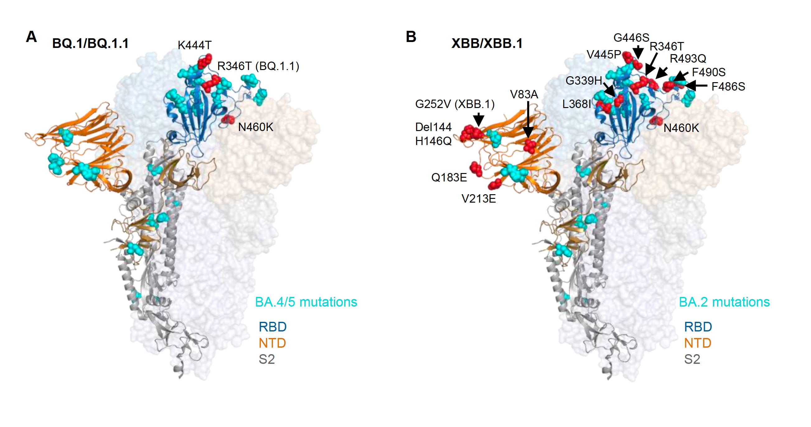 A new variant alert - by Eric Topol - Ground Truths
