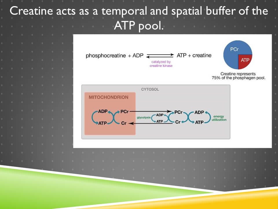 17. Carbs and Sports Performance: The Principles