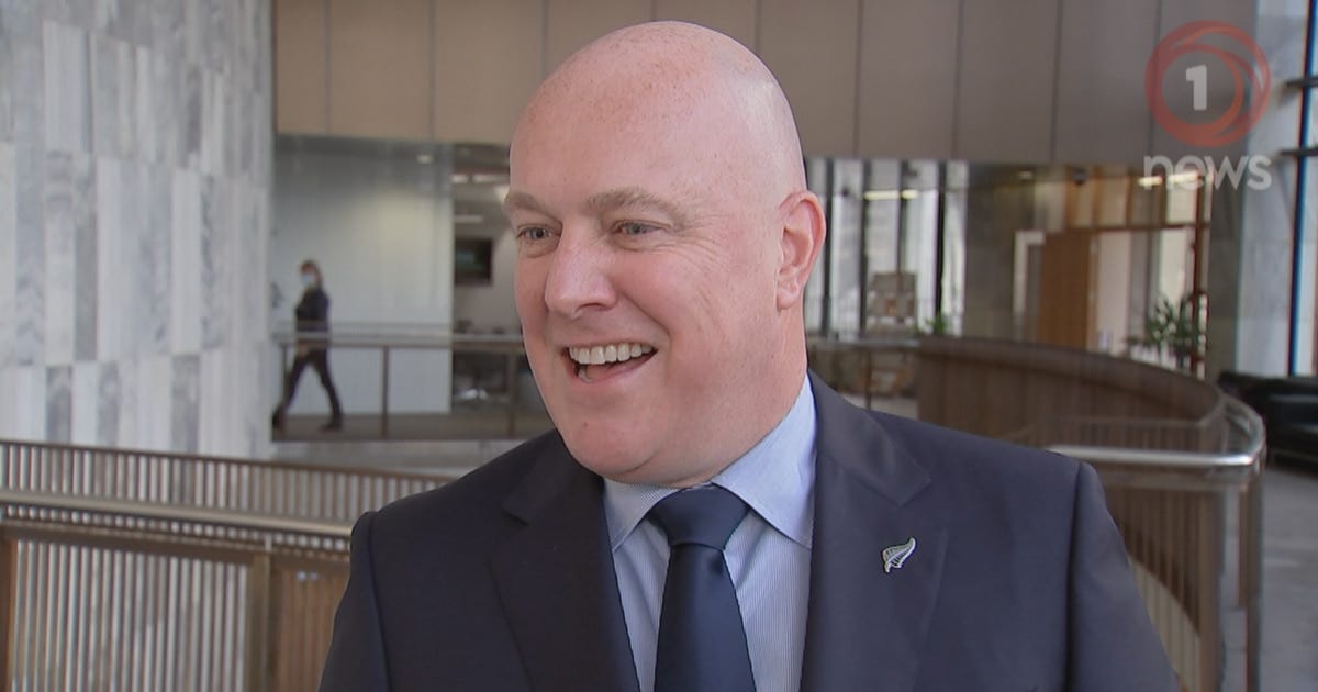 The phrase that pays - by David Slack