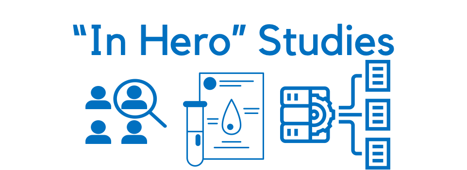 Project 8p 2022-2024 Research Plan