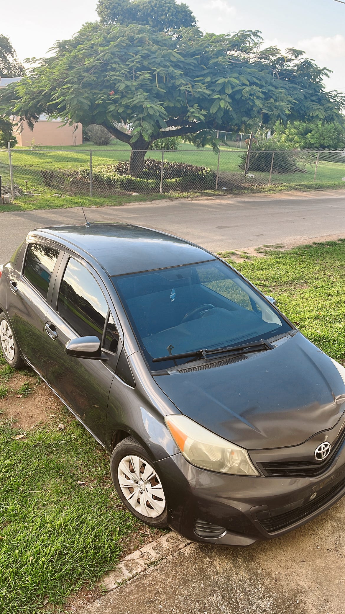 No one likes the DMV. - by Katie Kraushaar - Everyday Woo