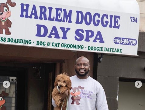 ‘Dogfather of Harlem’ is grooming pets for free