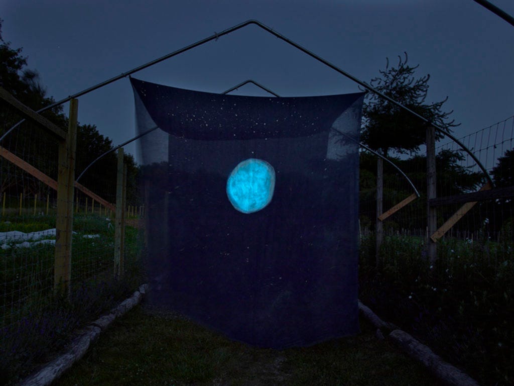 5 questions for visual artist Miya Ando