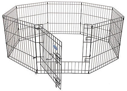 Rabbit = Good Friend - by Noah Smith - Noahpinion