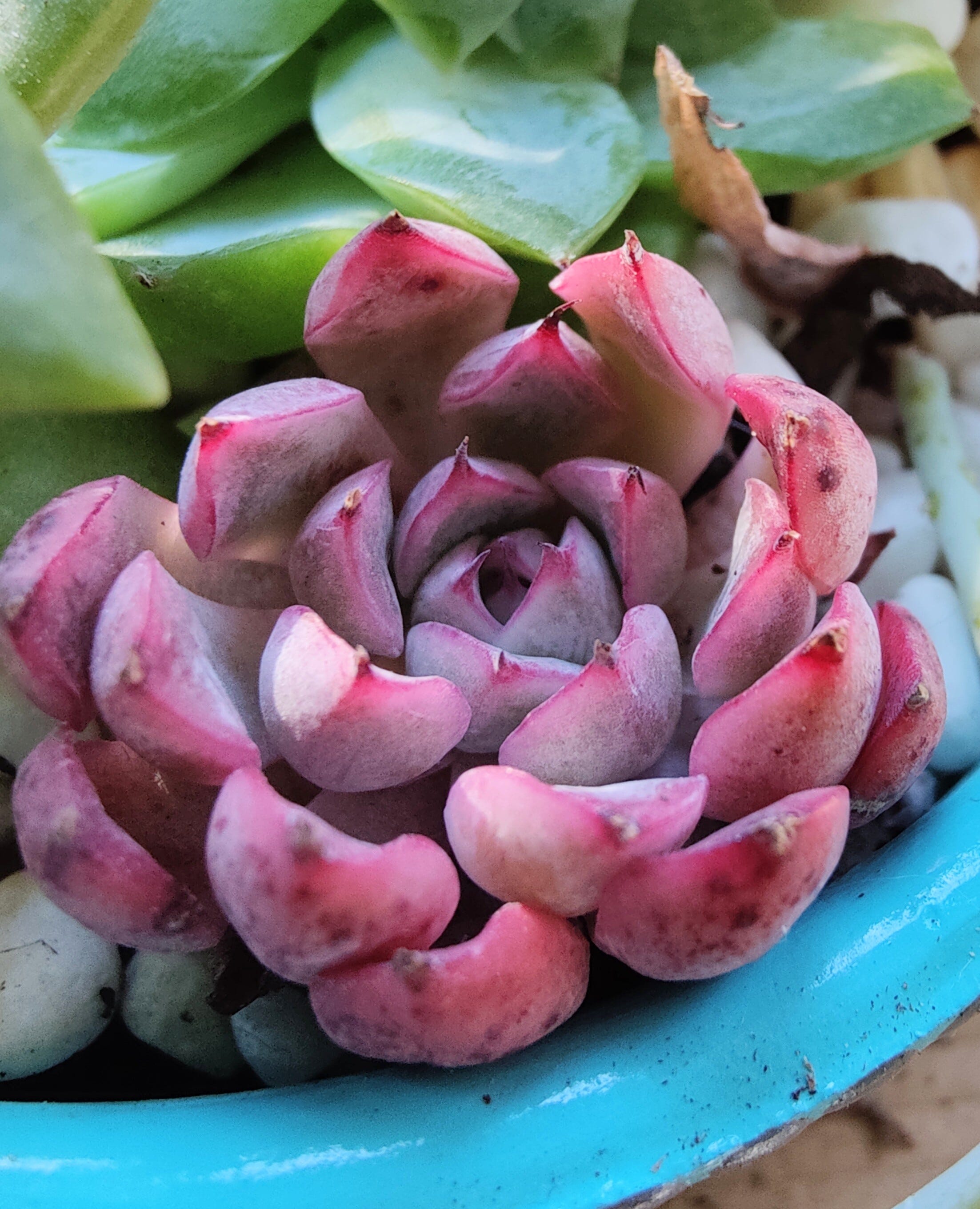 Toward a better 2022 - by Zawn Villines