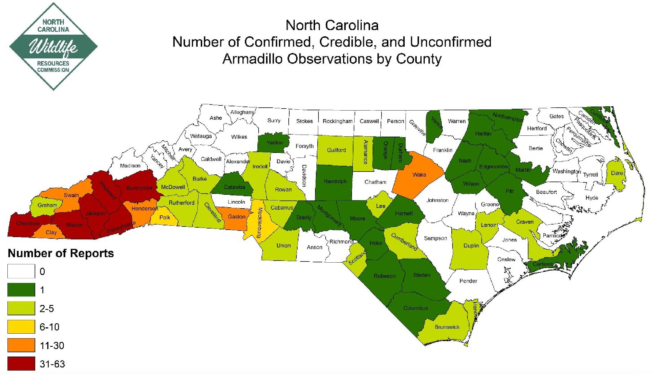 Attention North Carolina: The armadillos have arrived
