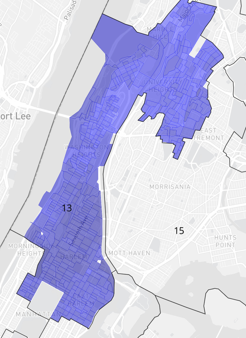 Districts, Data, & Demographics: A Comprehensive Look at New York City ...
