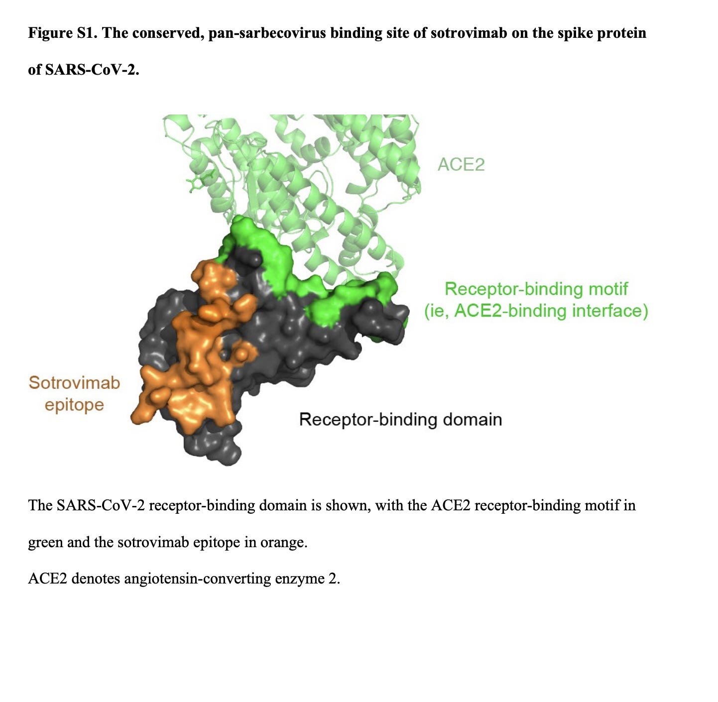 In-depth analysis of Sotrovimab - by The Unpublished