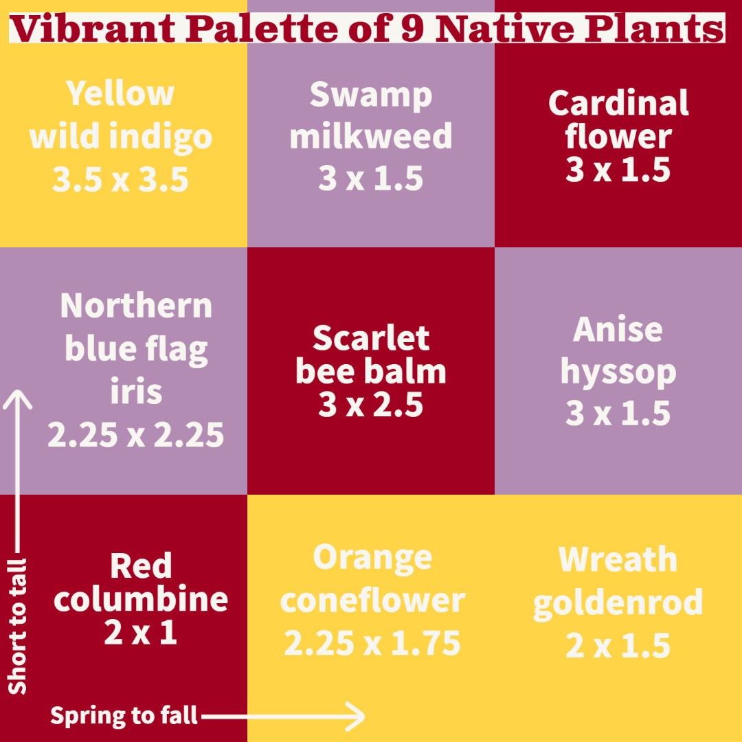 How to Enliven Your Entrance with a Vibrant Palette of 9 Native Plants