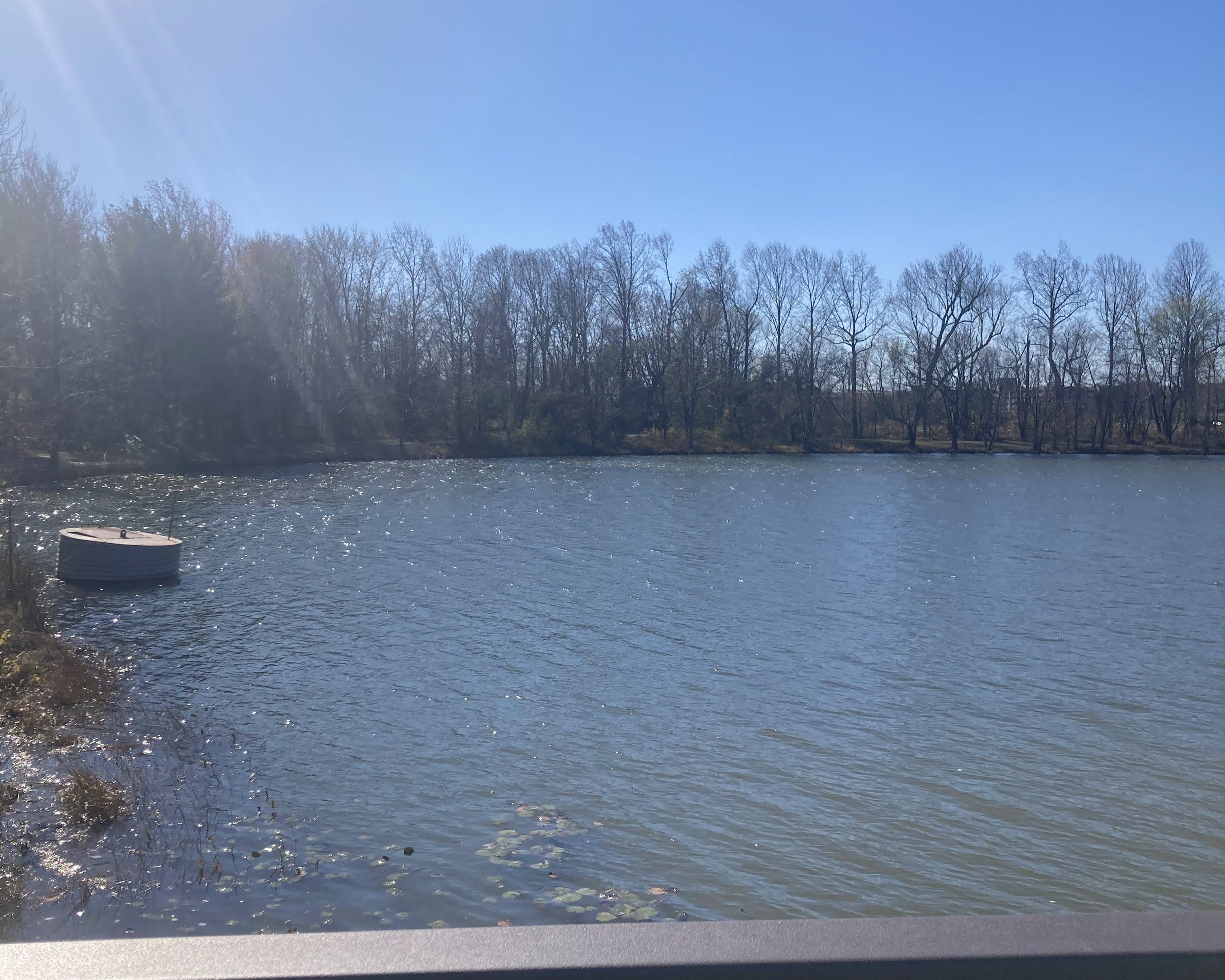 To the frigid November air. - by Finnoula